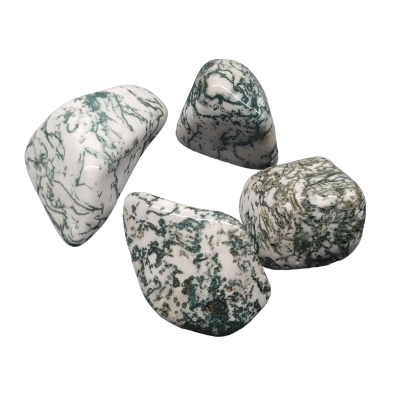Tree Agate Large Tumble Stone - ACELURE